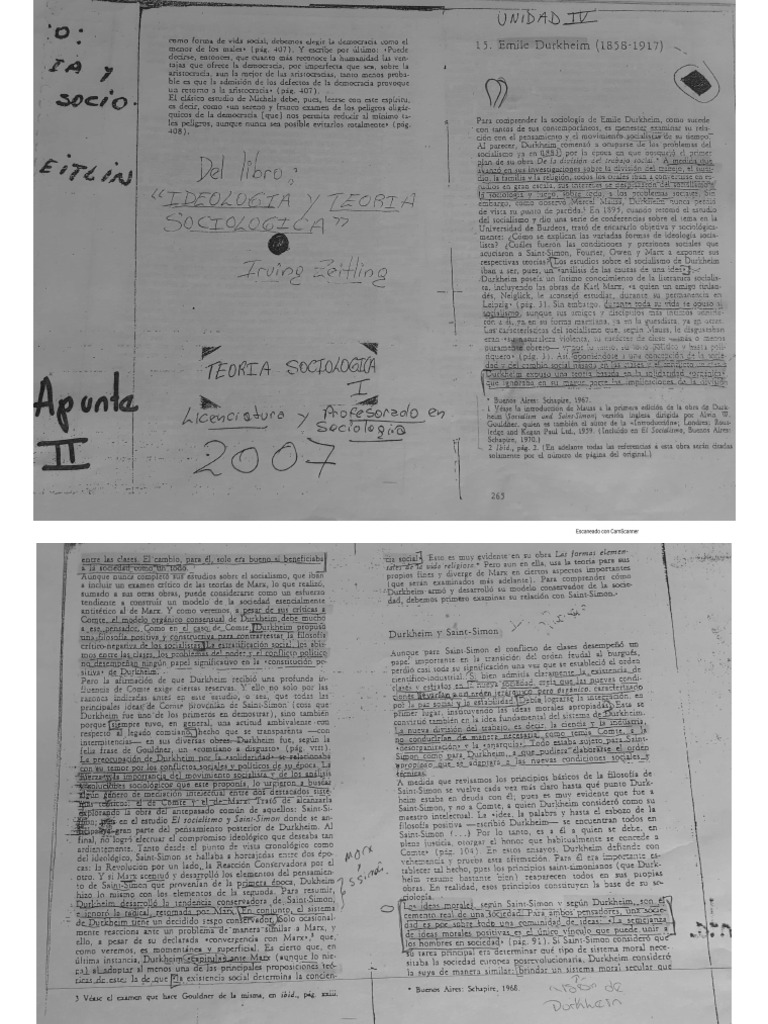 Zeitlin Durkheim | PDF