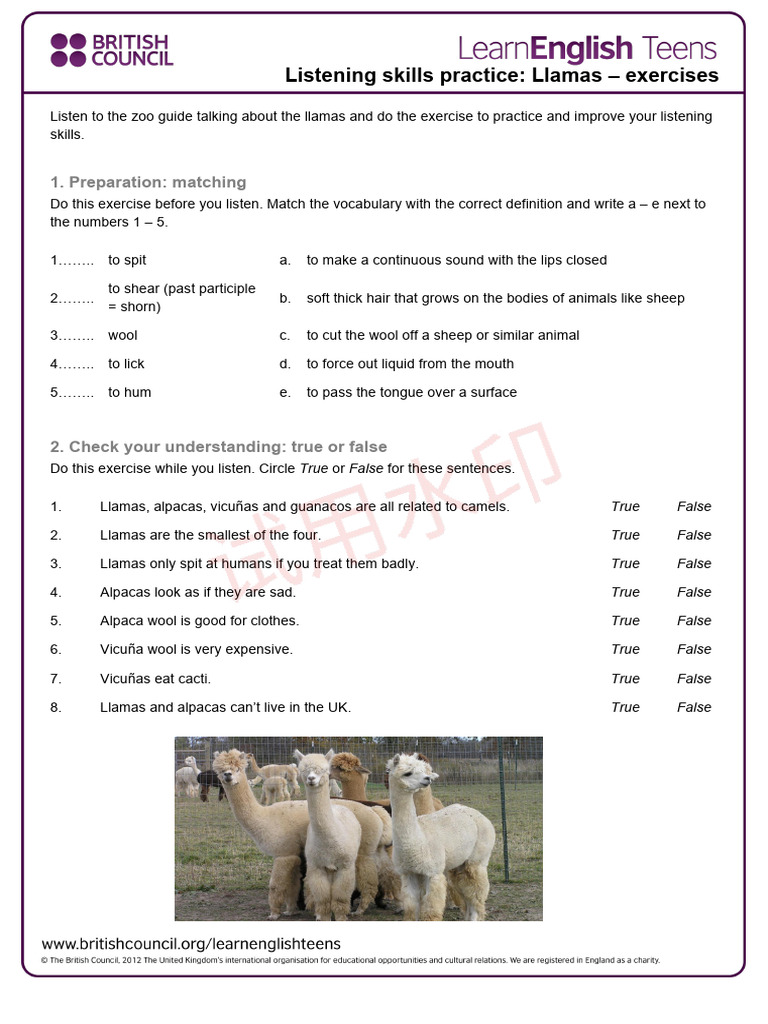 Llamas and Vicuñas: Facts and Listening Skills | PDF | Livestock ...