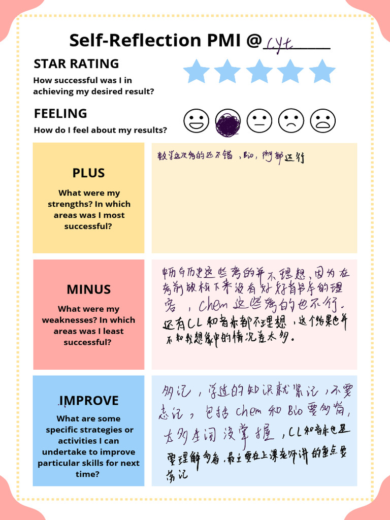 Pink Self-Reflection PMI Feedback Worksheet | PDF