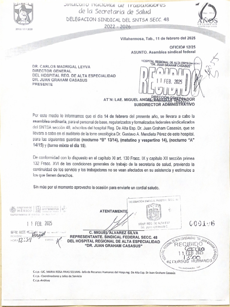 WhatsApp Scan 2025-02-12 at 09.39.03 | PDF