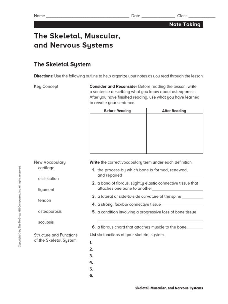 The Skeltal, Muscular and Nervous Systems Activity | PDF | Skeleton | Bone