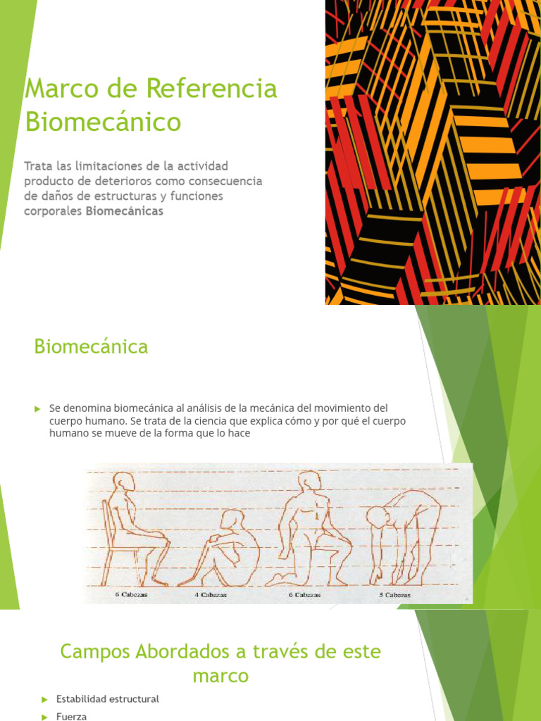 Marco de Referencia Biomec-Nico | PDF | Biomecánica | Músculo