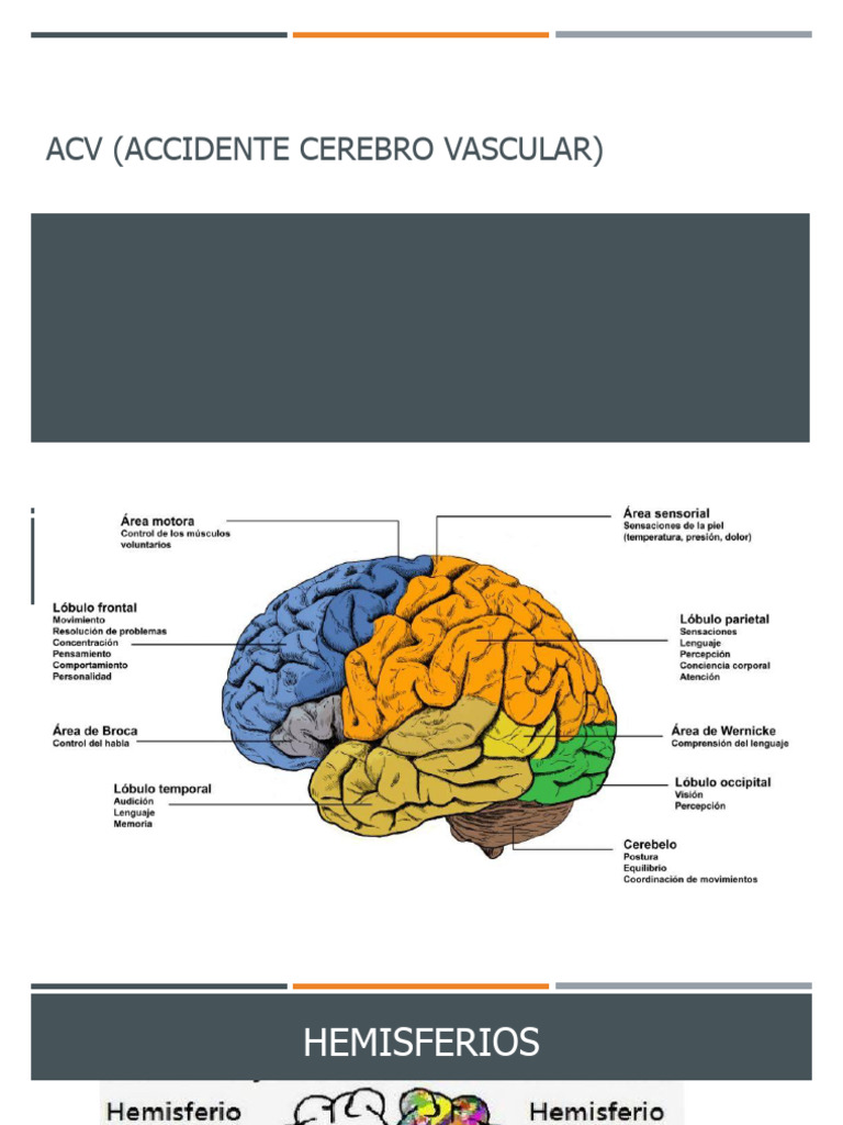 Guía Completa sobre ACV: Causas y Tratamiento | PDF | Carrera | Trombo