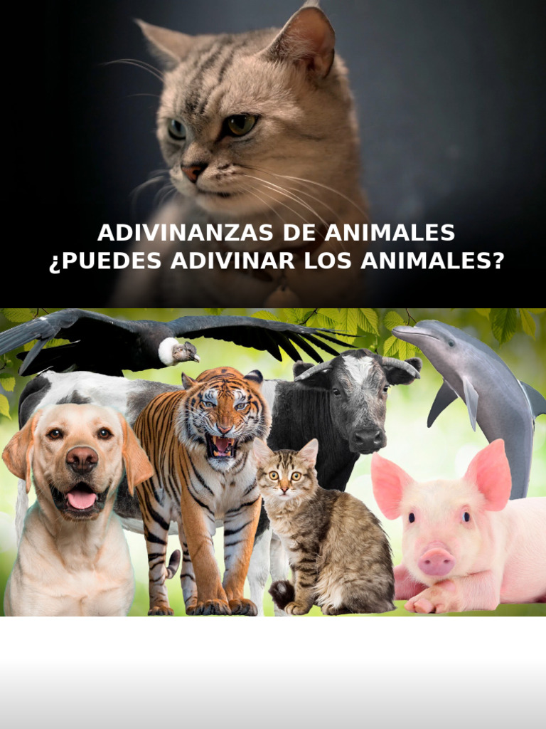 Juego Adivinanzas Animales | PDF