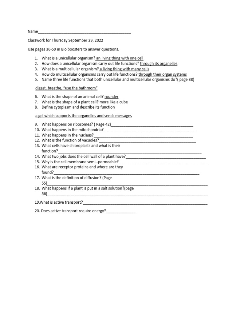 Biology review sheet | PDF
