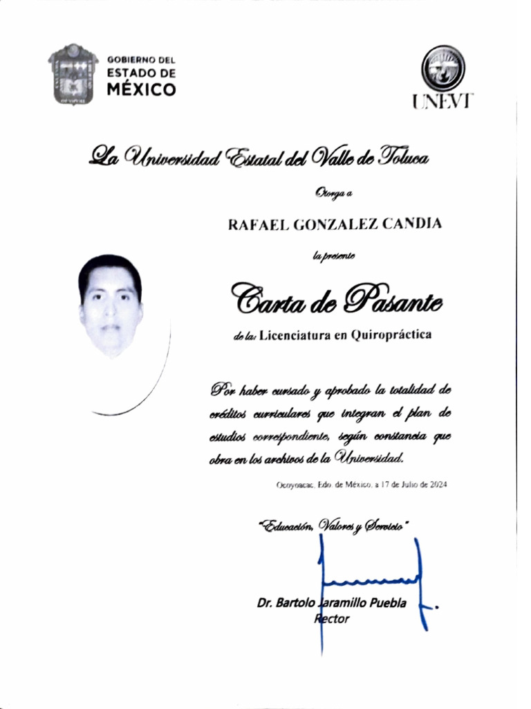 Licenciatura en Quiropráctica 2024 | PDF