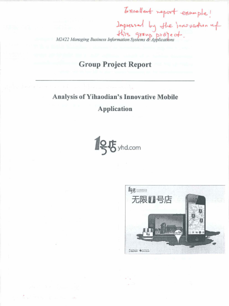 Excellent Report Example | PDF