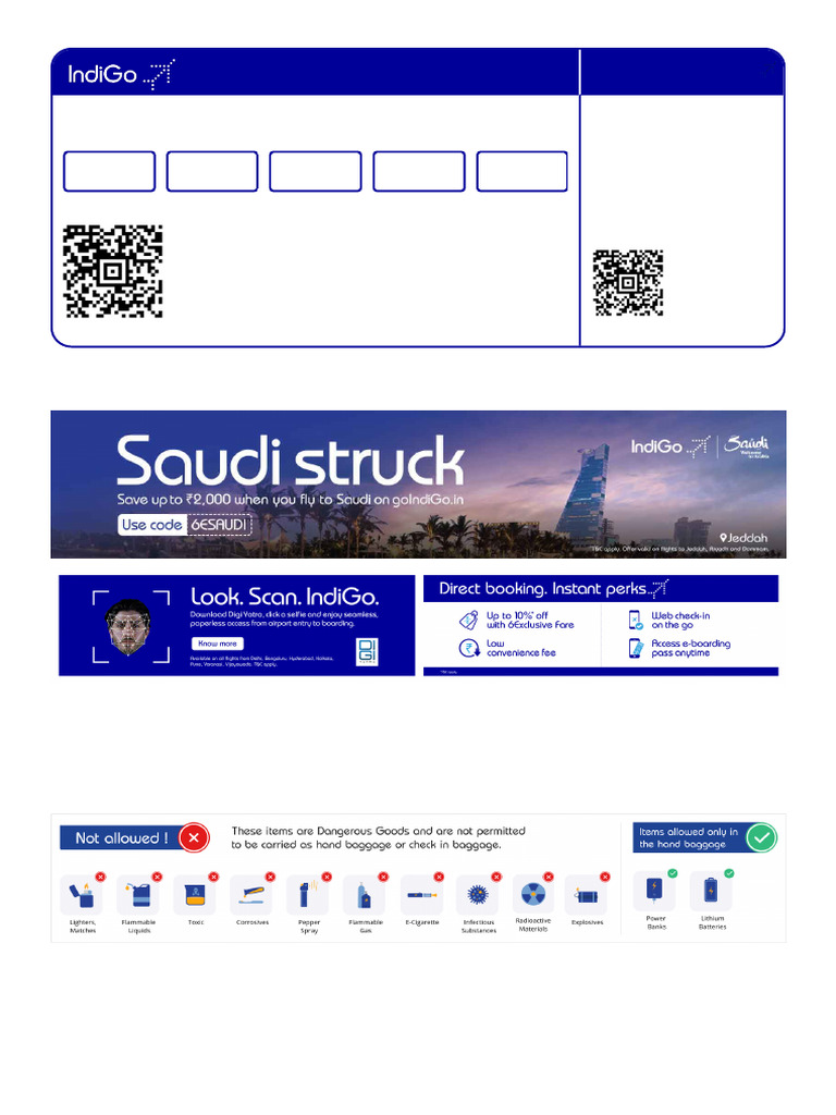 Boarding Pass for Flight 6E 343 | PDF