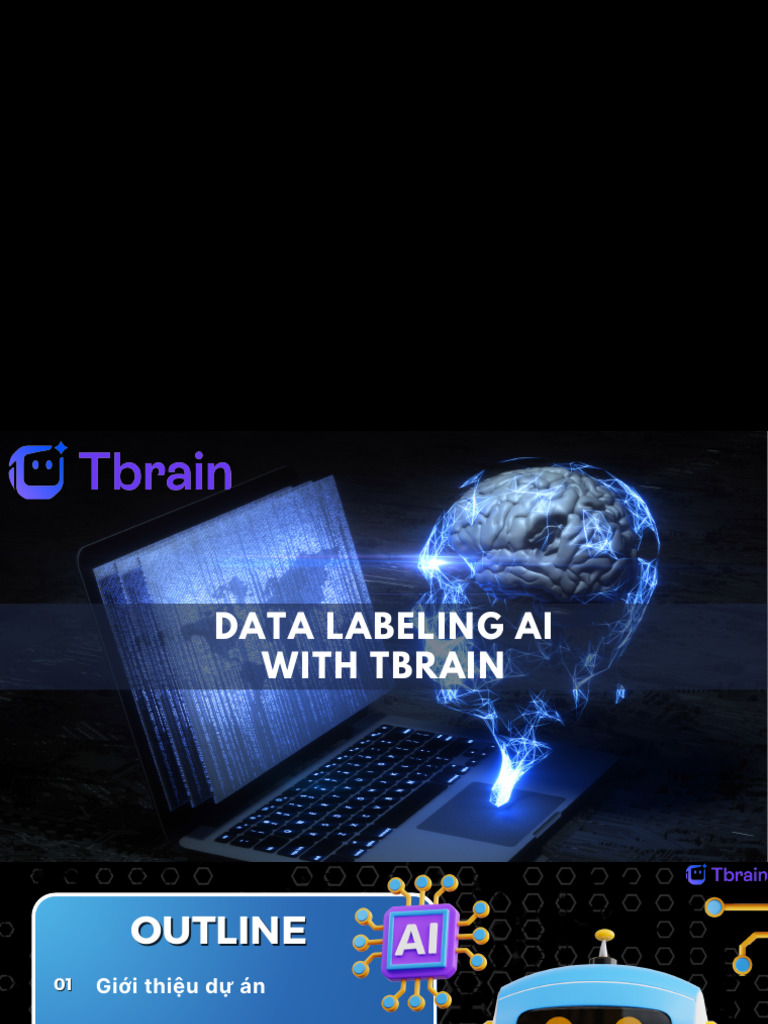 AI Data Labeling - CTV | PDF