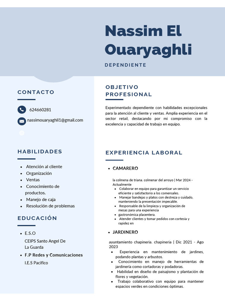 Currículum Vitae CV de NASSIM | PDF