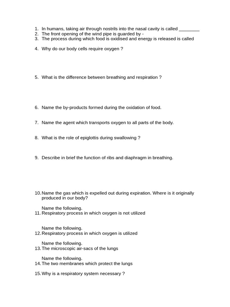 Respiratory System Class 6 | PDF | Respiratory System | Breathing
