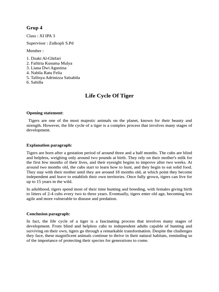 Life Cycle Of Tiger | PDF