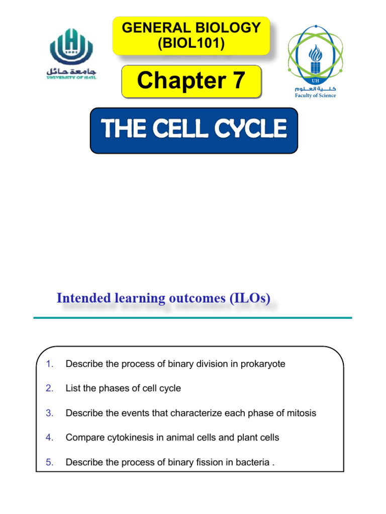 Chapter 7-The Cell Cycle | PDF | Mitosis | Cell (Biology)