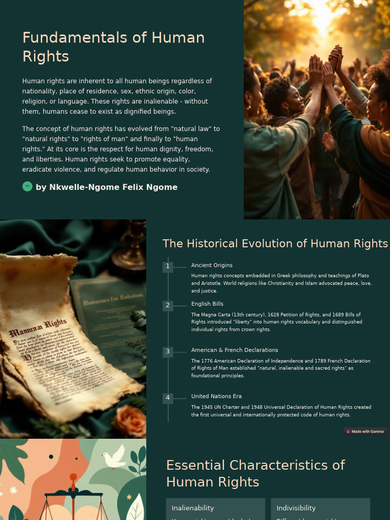 Fundamentals of Human Rights | PDF | Human Rights | Rights