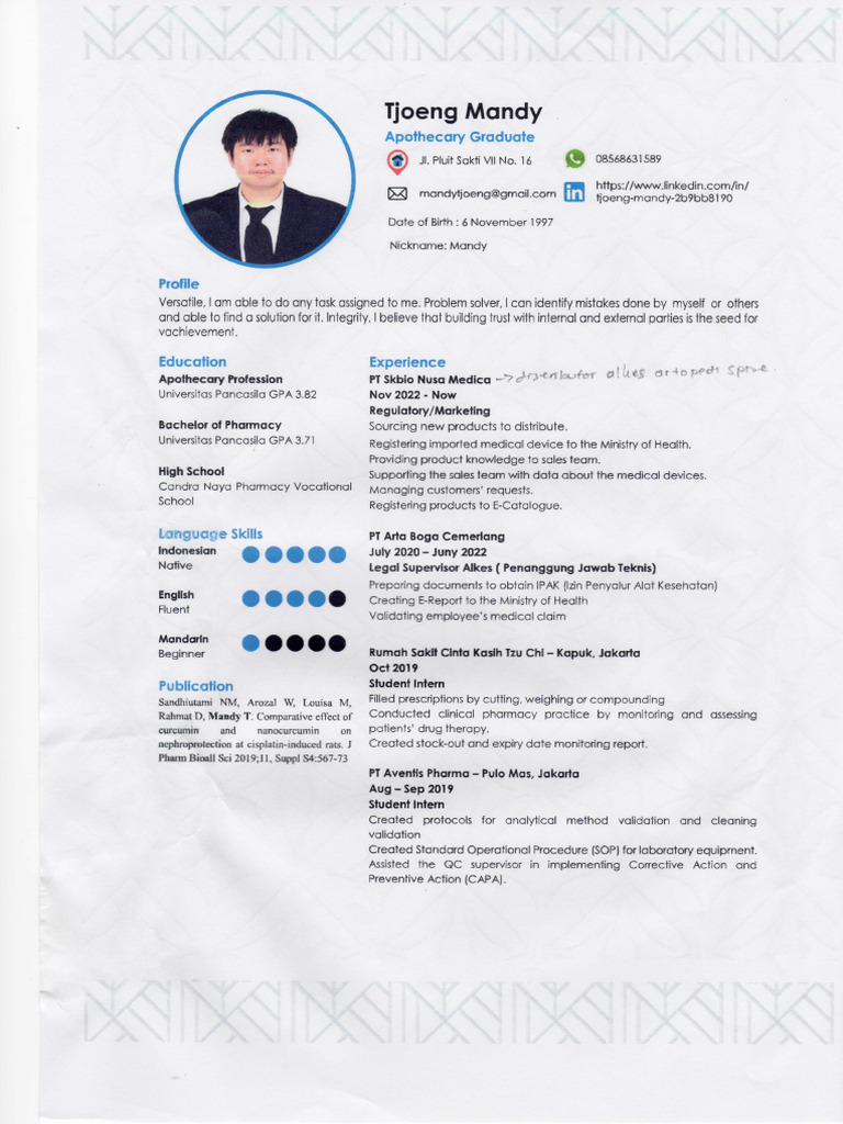 Tjoeng Mandy - CV | PDF