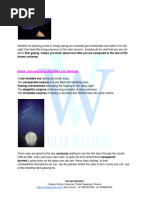 Starry Sight Word Hunt | PDF
