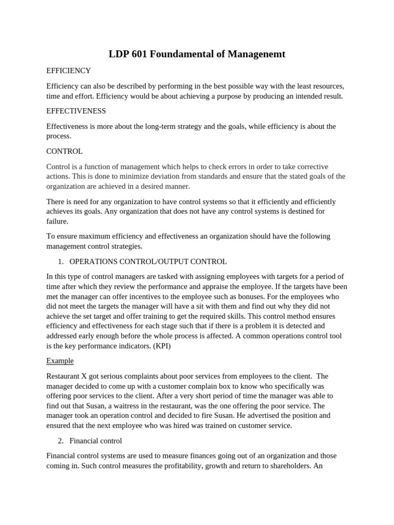 LDP 601 Group Assignment | PDF | Goal | Audit