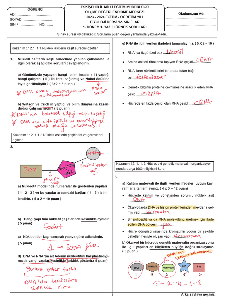 Sinif 1. Doynem 1. Sinav Oyrnek Sorulari | PDF