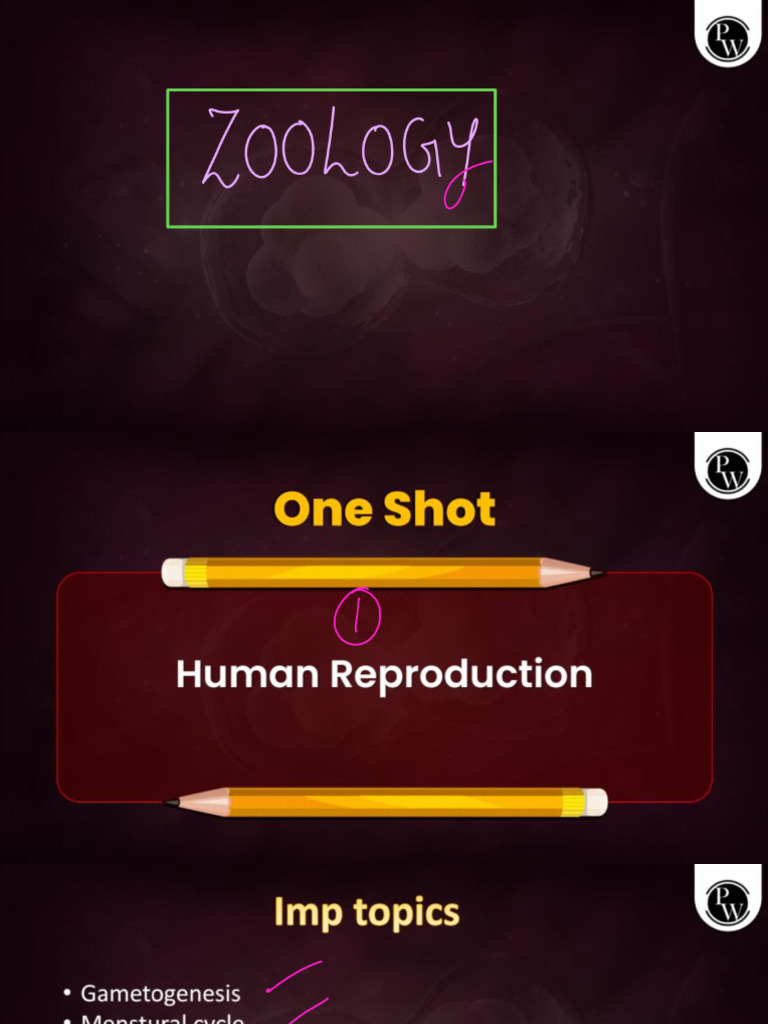 One Shot Full Chapter Mind Map Zoology Class 12th Aarushi Maam F | PDF