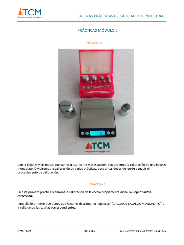 Prácticas Módulo 5 (Balanza Monoplato) | PDF