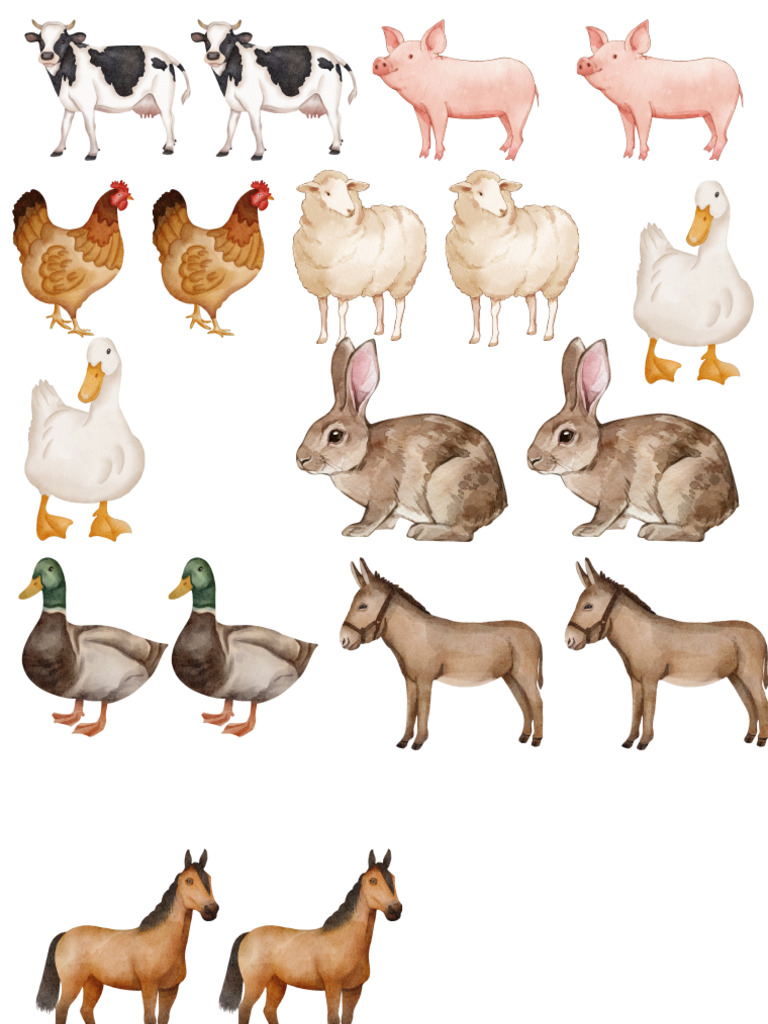 Animale Domestice | PDF