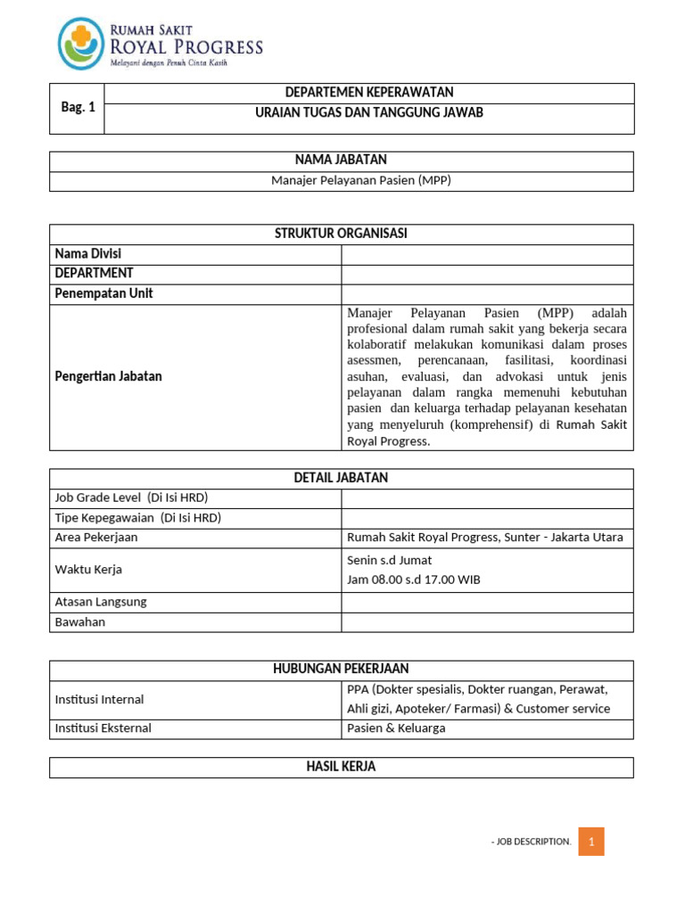 Job Description MPP | PDF