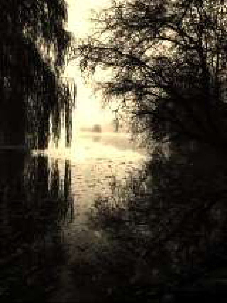 (WWW - Asianovel.com) - Childish Flower Chapter 0 - Prologue - Chapter ...