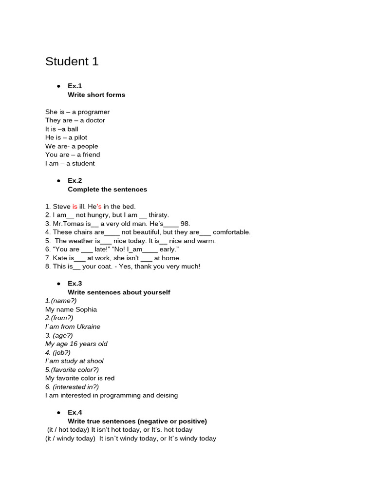 English Grammar Exercises for Beginners | PDF