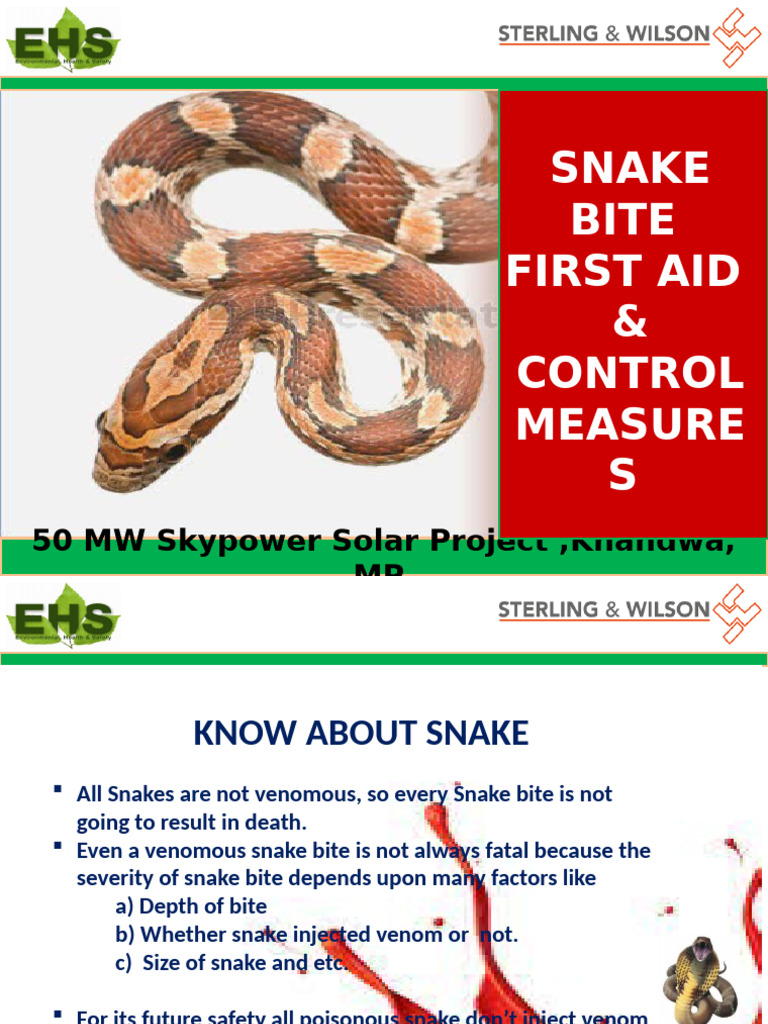 Snake Bite First Aid & Control Measures PPT-2 | PDF