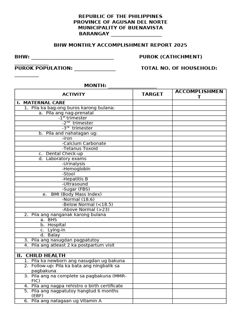 BHW Accomplishment Report | PDF