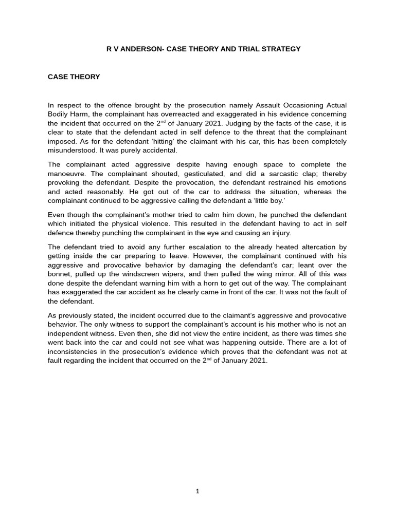 Case Theory and Trial Strategy | PDF | Criminal Justice | Crime & Violence