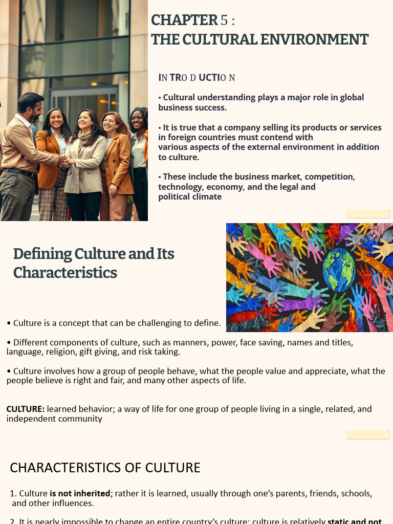 Cultural Understanding in Global Business | PDF