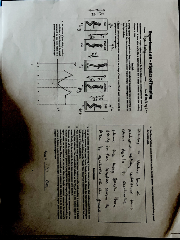 Physics of Jumping Lab | PDF