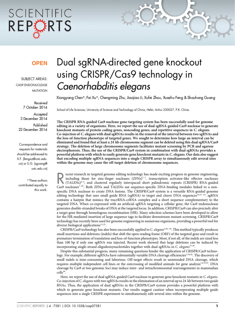 Dual sgRNA-directed Gene Knockout Using CRISPRCas9 Technology in ...