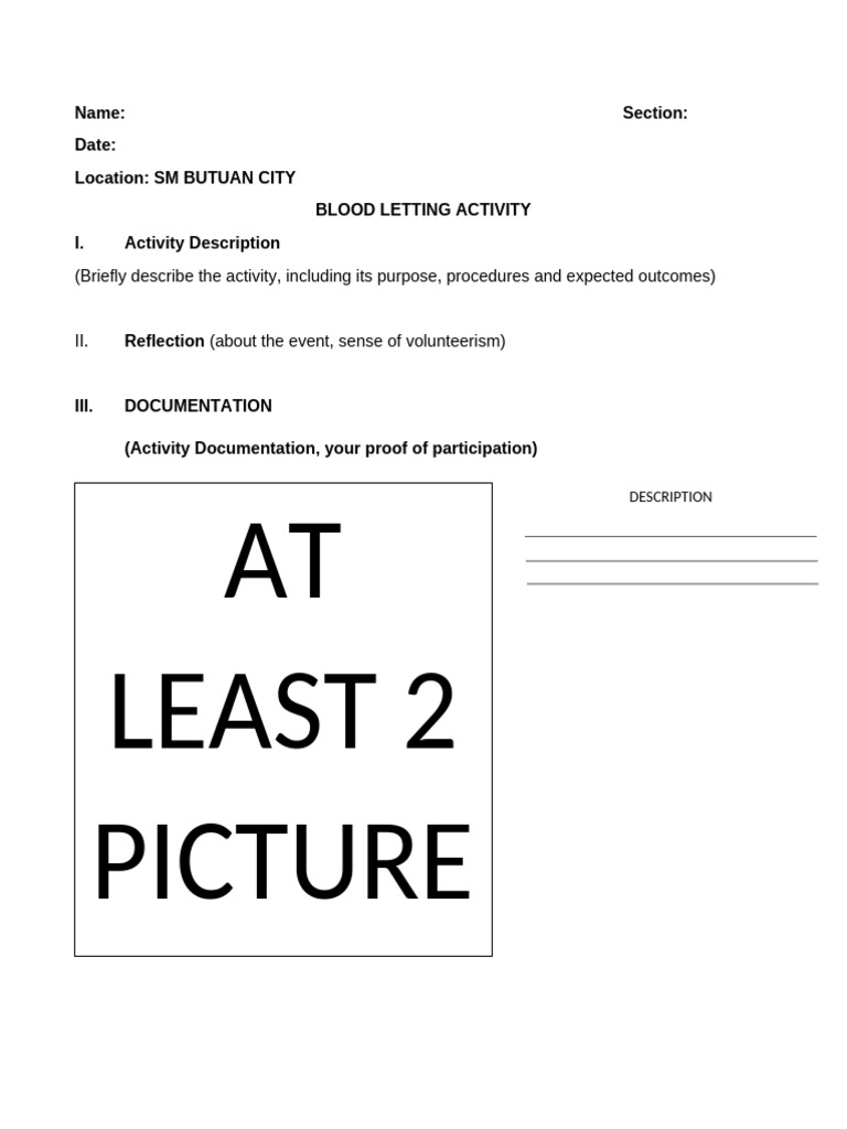 Blood Letting Activity | PDF