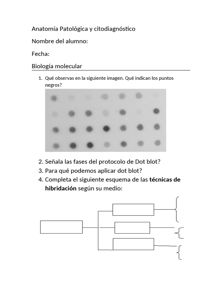 Anatomía Patológica y Citodiagnóstico | PDF