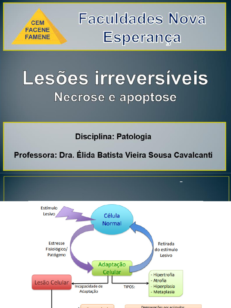 Lesões Irreversíveis: Apoptose e Necrose | PDF | Necrose | Apoptose