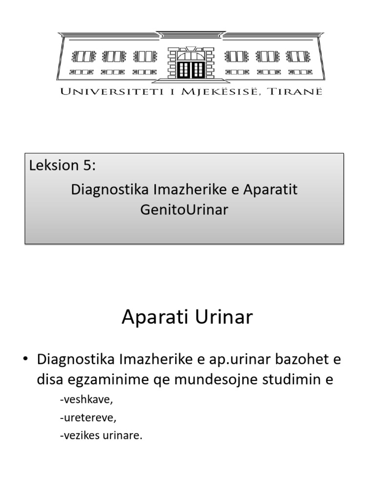 Presentation Aparati Genito-Urinar | PDF