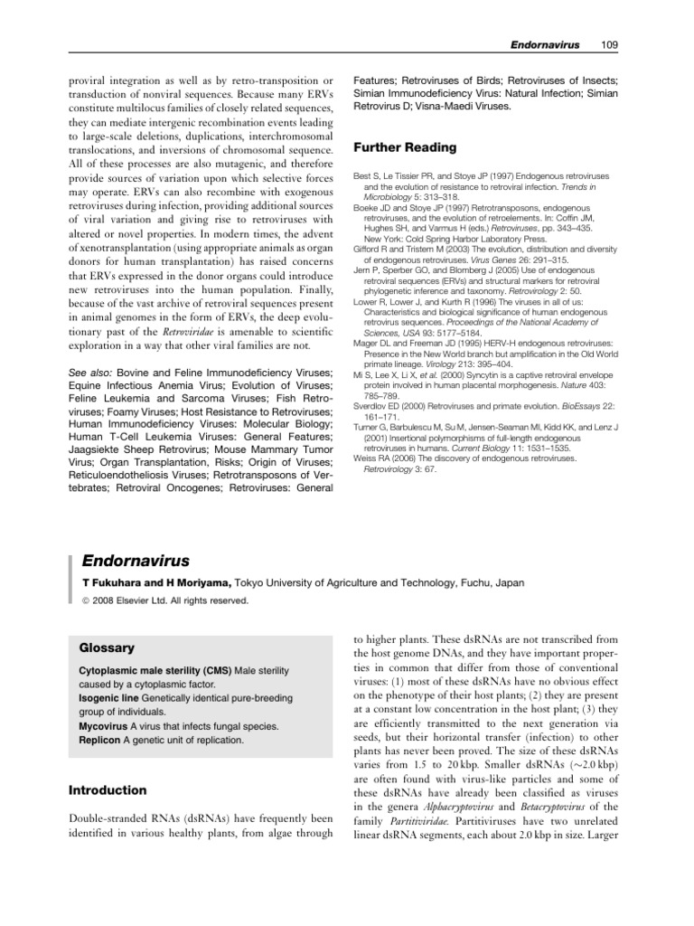 Endogenous Retroviruses and Evolution | PDF | Retrovirus | Virus