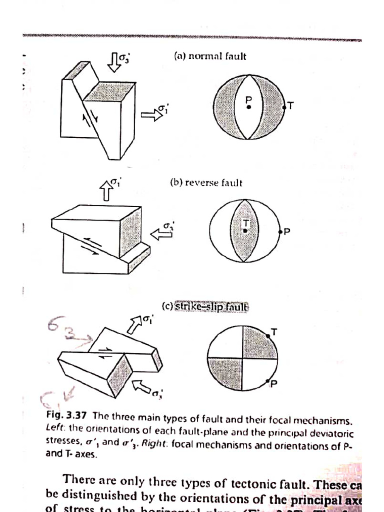Eart System Imp Points | PDF