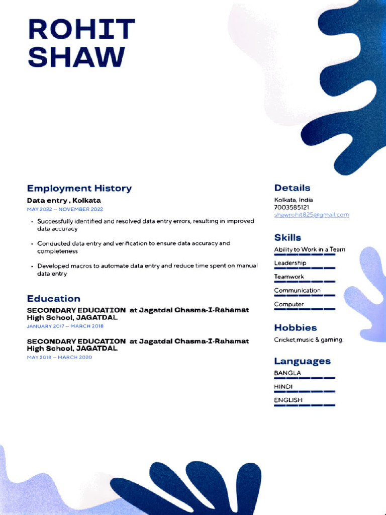 Rohit Shaw: Data Entry Expertise | PDF