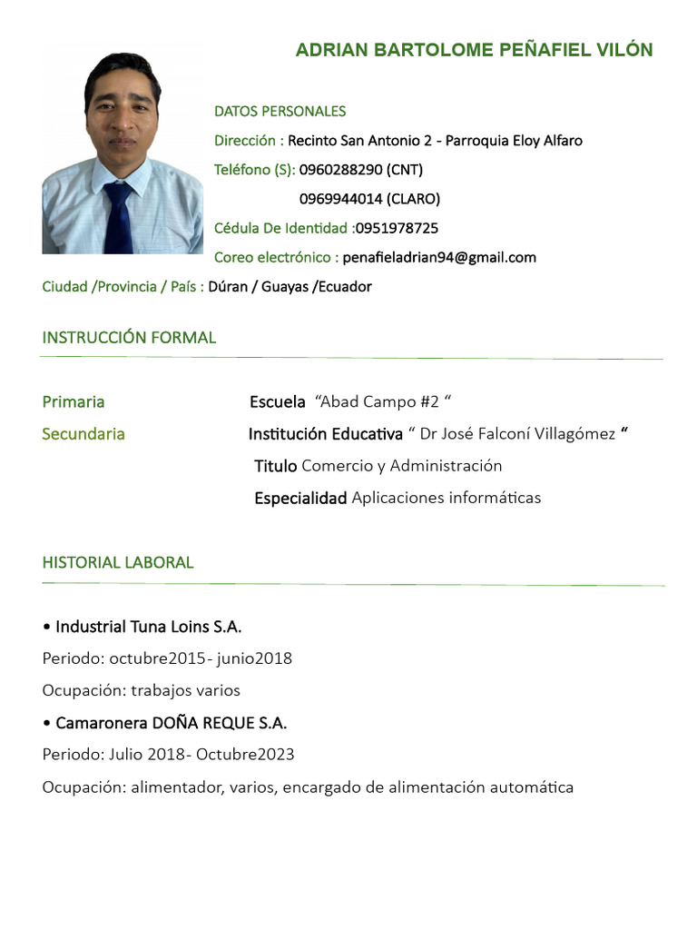 Curriculum Adrian | PDF