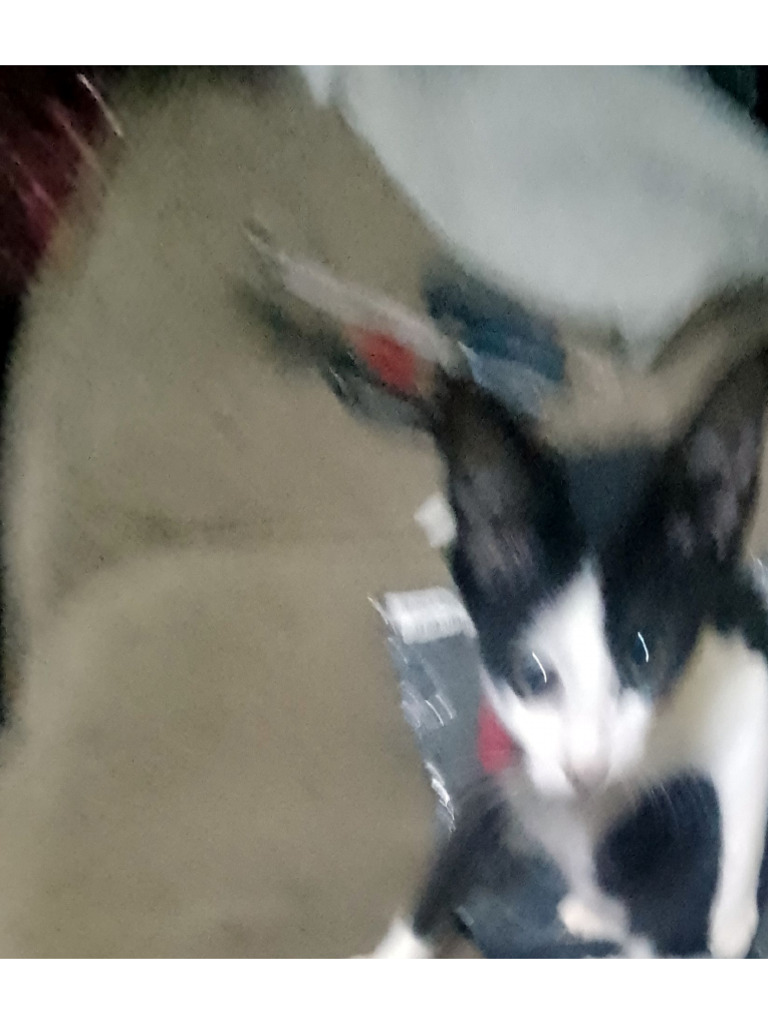 Scanned 20250304-2103 | PDF