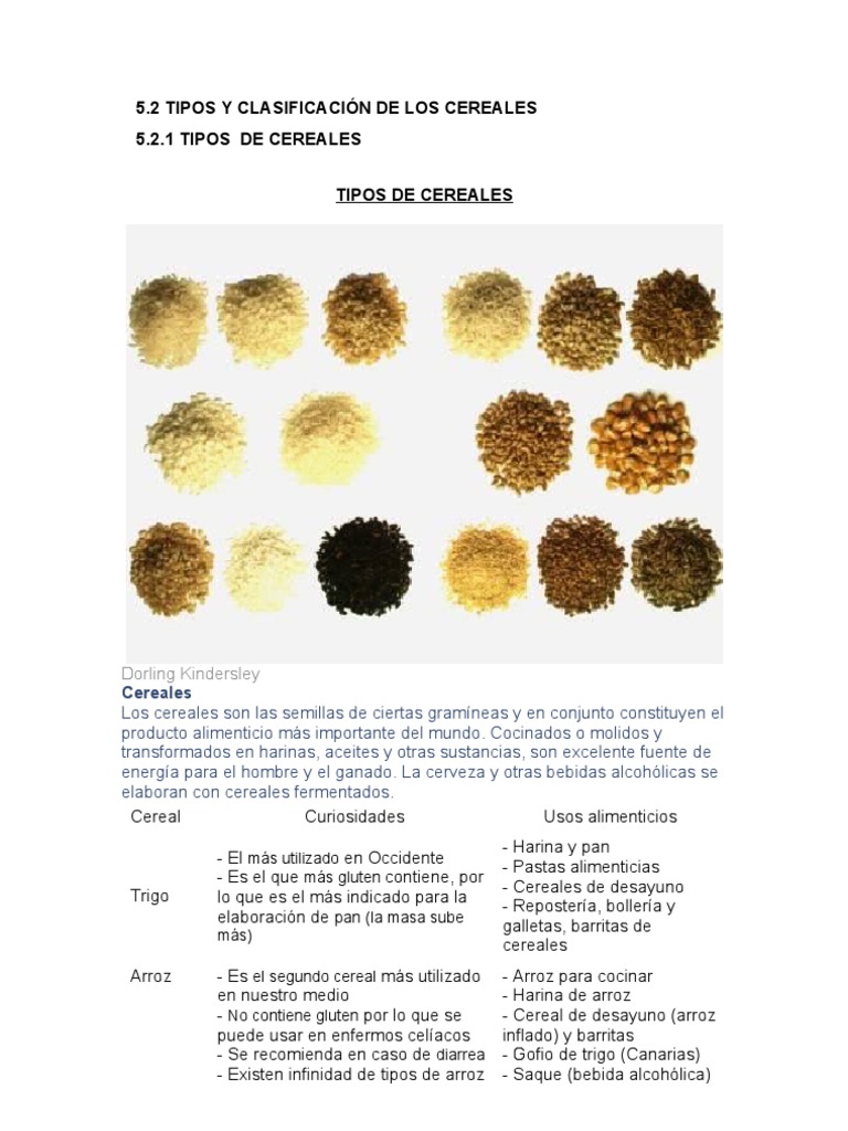 Clasificacion de Cereales | PDF | Cocina, comidas y vino | Salud y ...