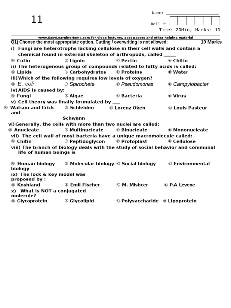 1st Year Superior 1st Half | PDF | Cell Wall | Biology