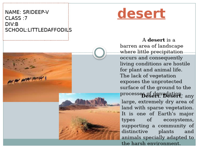 Desert | PDF