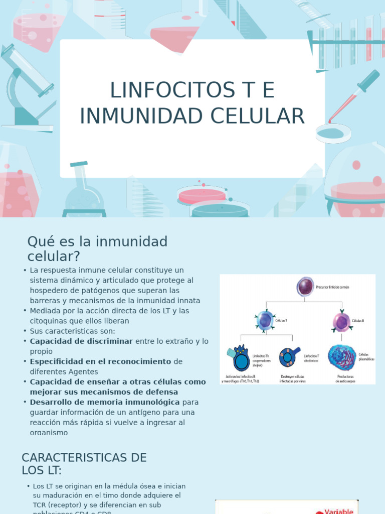 Linfocito T y Receptores | PDF | Sistema inmune | Célula T