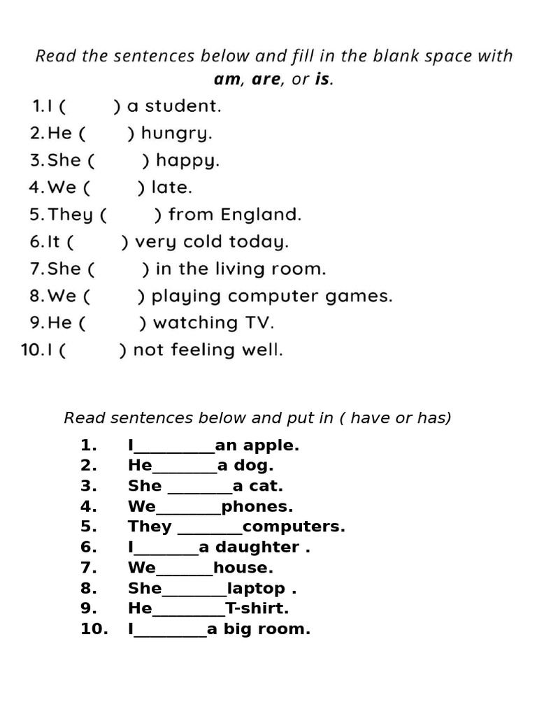 Basic English Grammar Exercises | PDF