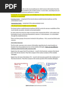Dorsal Column-Medial Lemniscus (DCML) Pathway - Anatomy - Kenhub | PDF ...