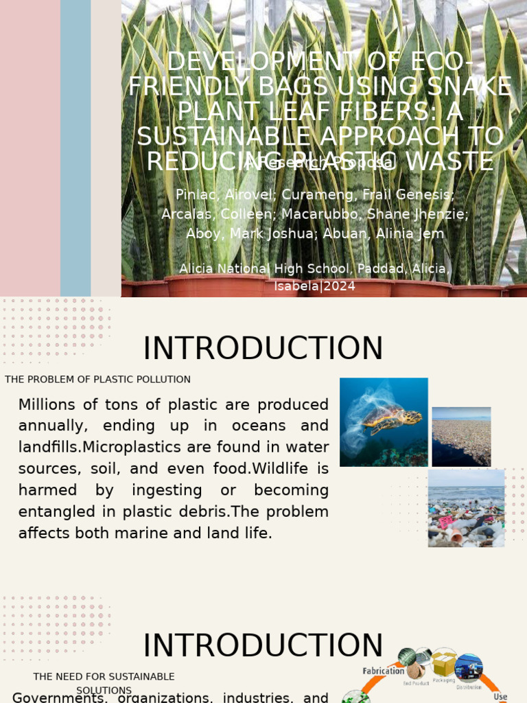 Eco-Friendly Bags from Snake Plant Fiber | PDF | Sustainability | Plastic